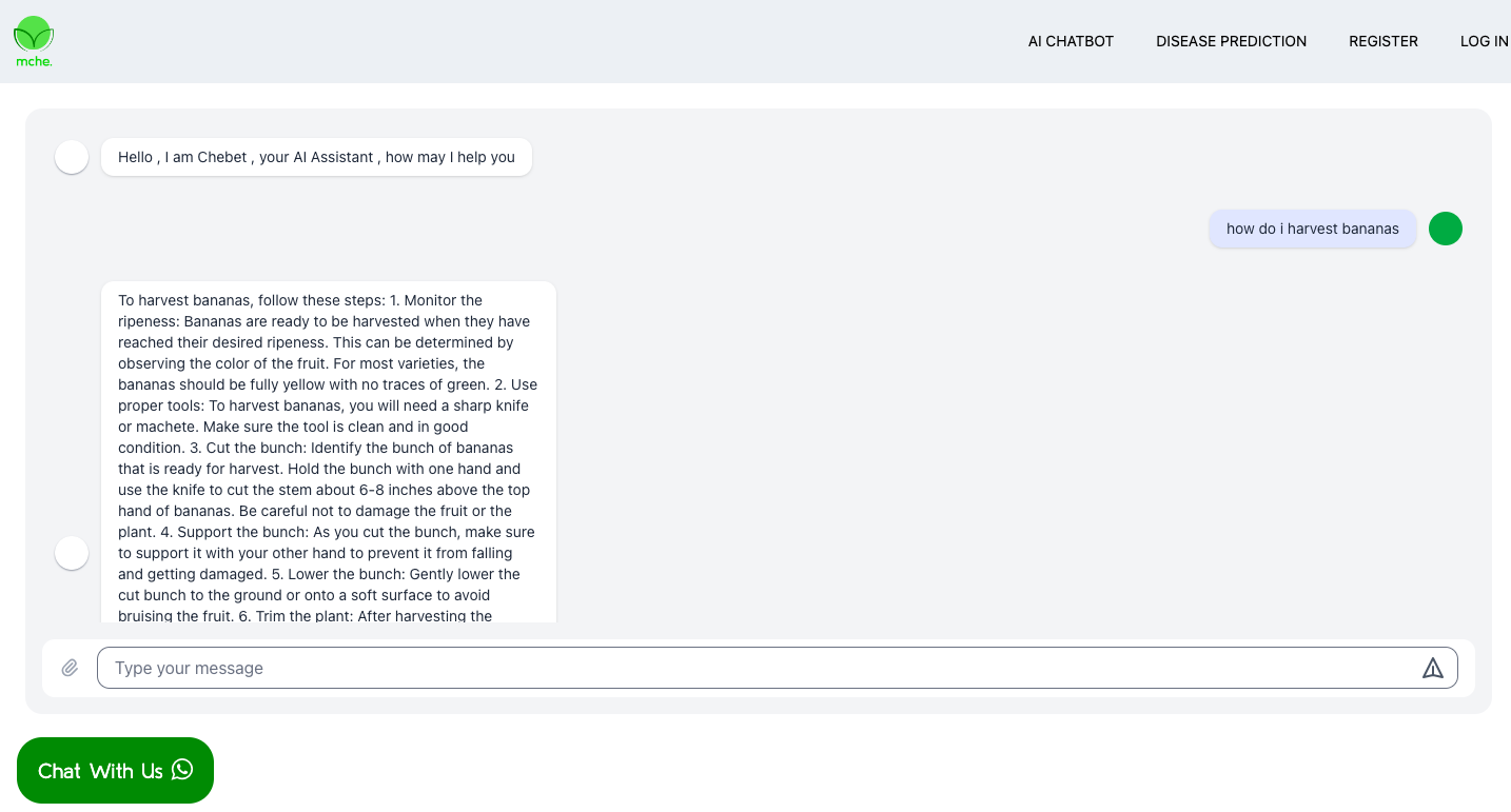 Pyraus Group Limited